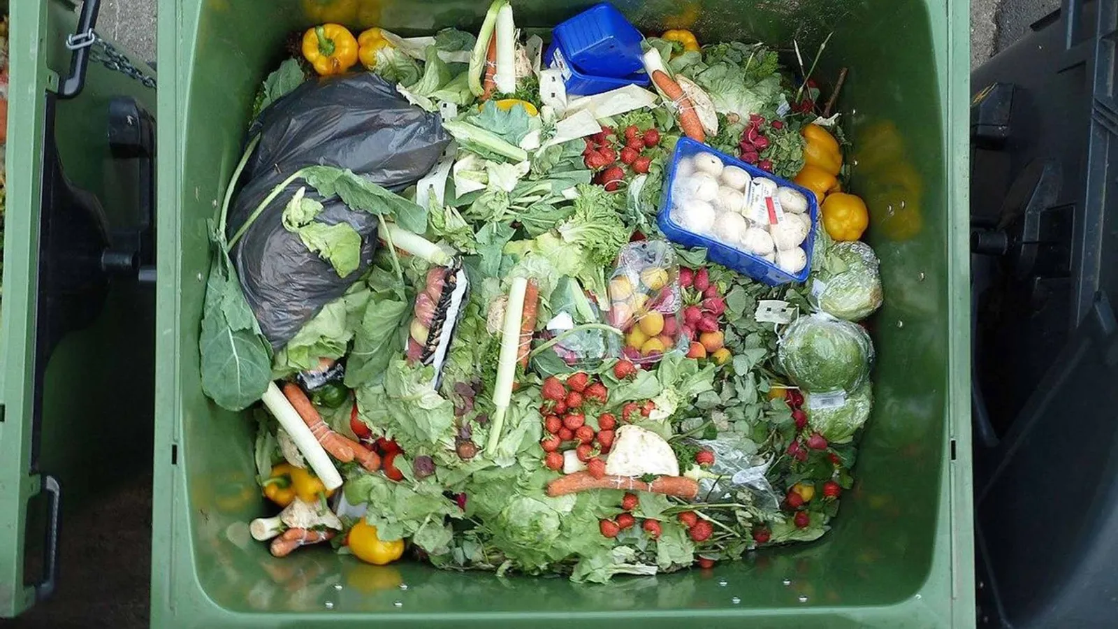 Desperdiciar la comida y tirar el dinero a la basura es lo mismo ...